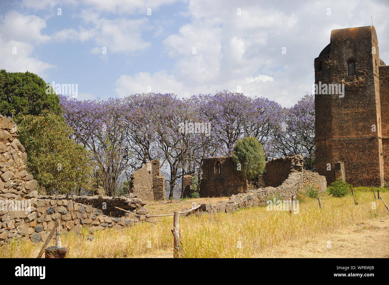 Ethiopian landscapes hi-res stock photography and images - Alamy