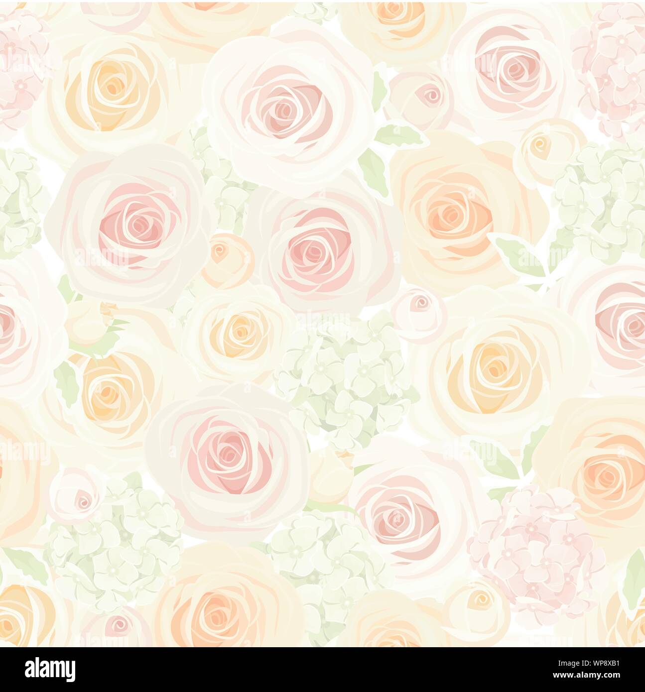 English rose orange Stock Vector Images - Alamy