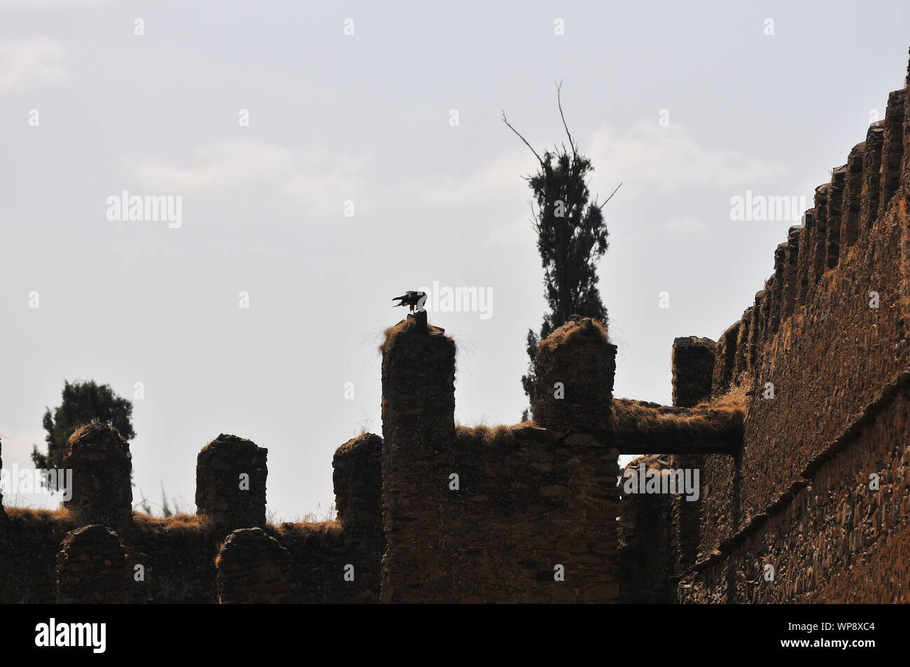 Architecture in Gondar Stock Photo - Alamy