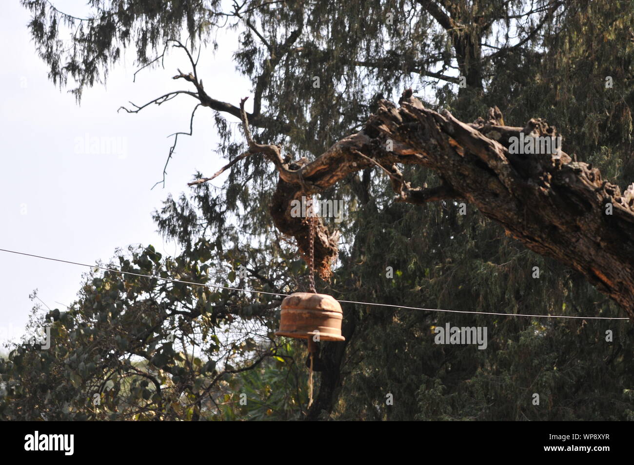 Bell hanging from a branch Stock Photo - Alamy