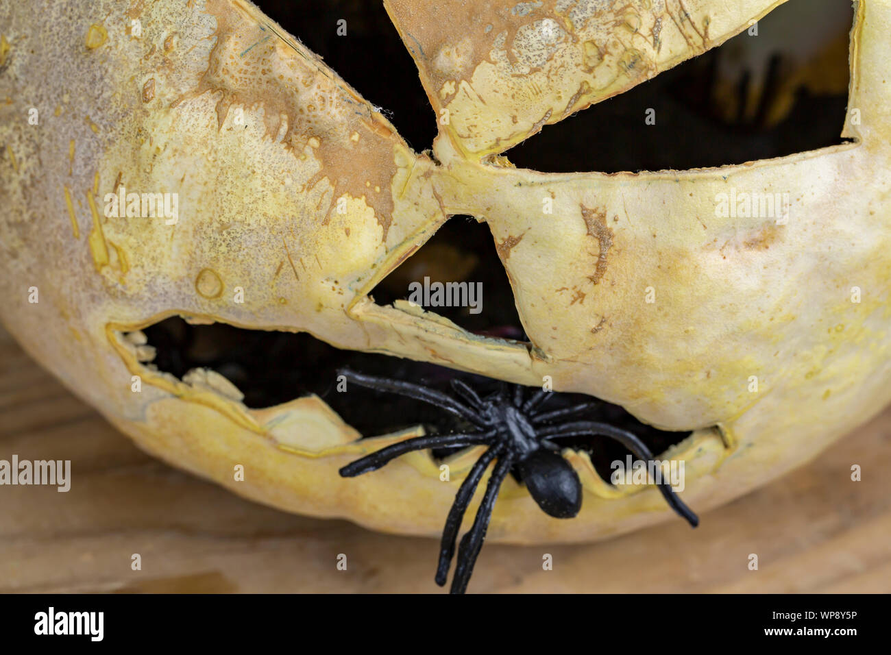 Halloween pumpkin and spider, background Stock Photo - Alamy