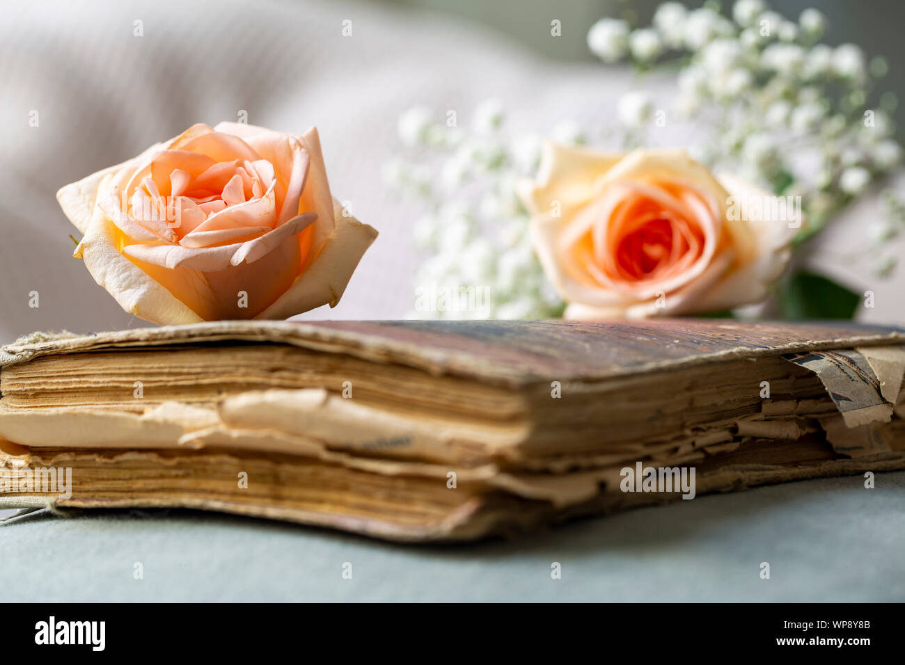 Old book and Pink Rose, reading book at home Stock Photo - Alamy