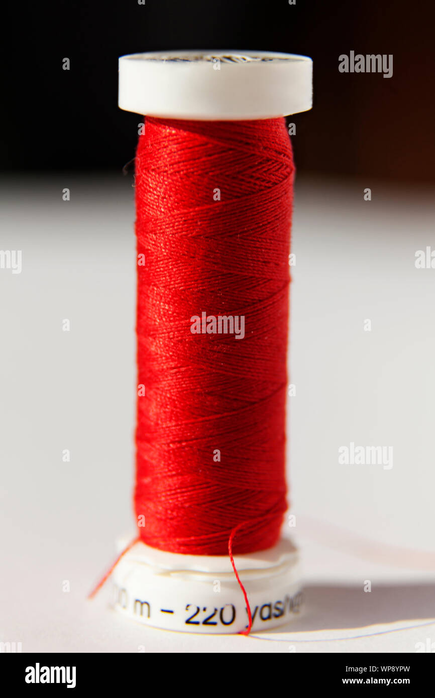 red sewing thread wrapped on a white plastic roll in studio light Stock ...