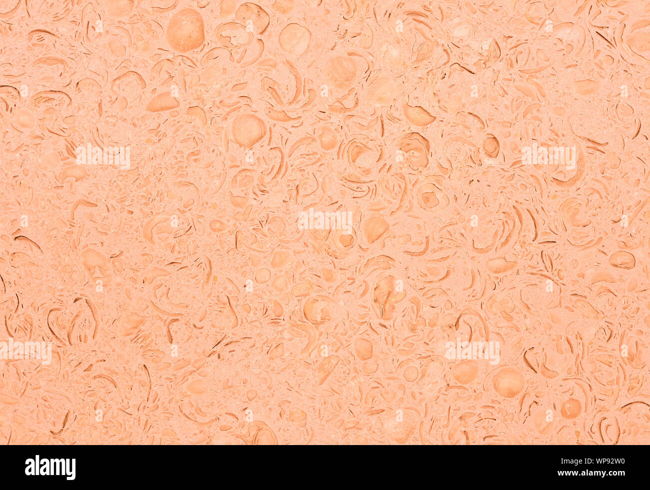 Organic texture of natural stone pastel coralline color with a faint ...