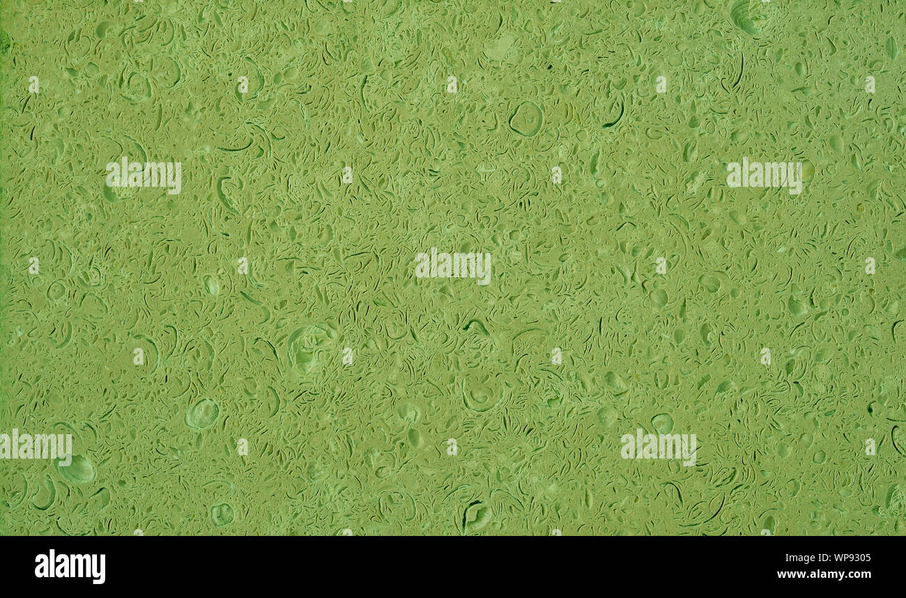 Organic texture of natural stone with prints of sea shells of muted ...