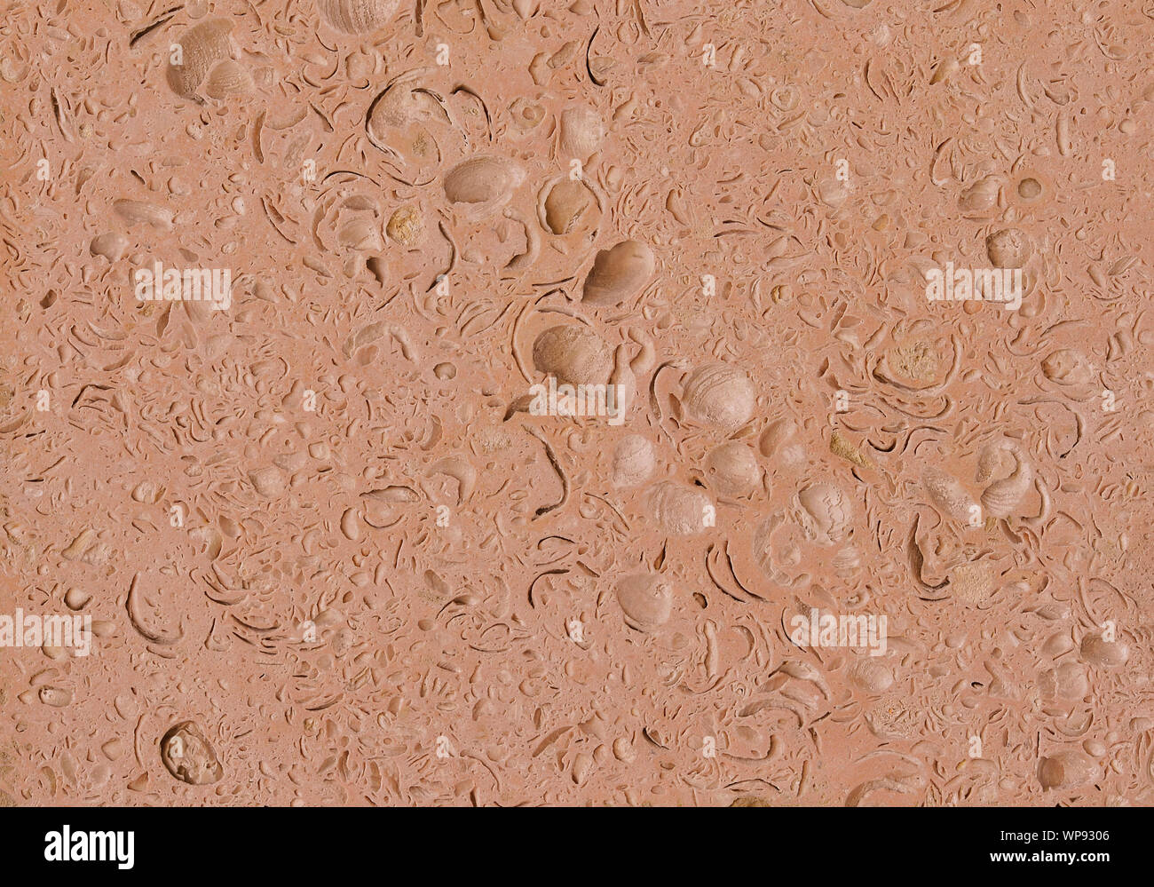 Organic texture of natural stone of muted pinkish gray pastel tone ...