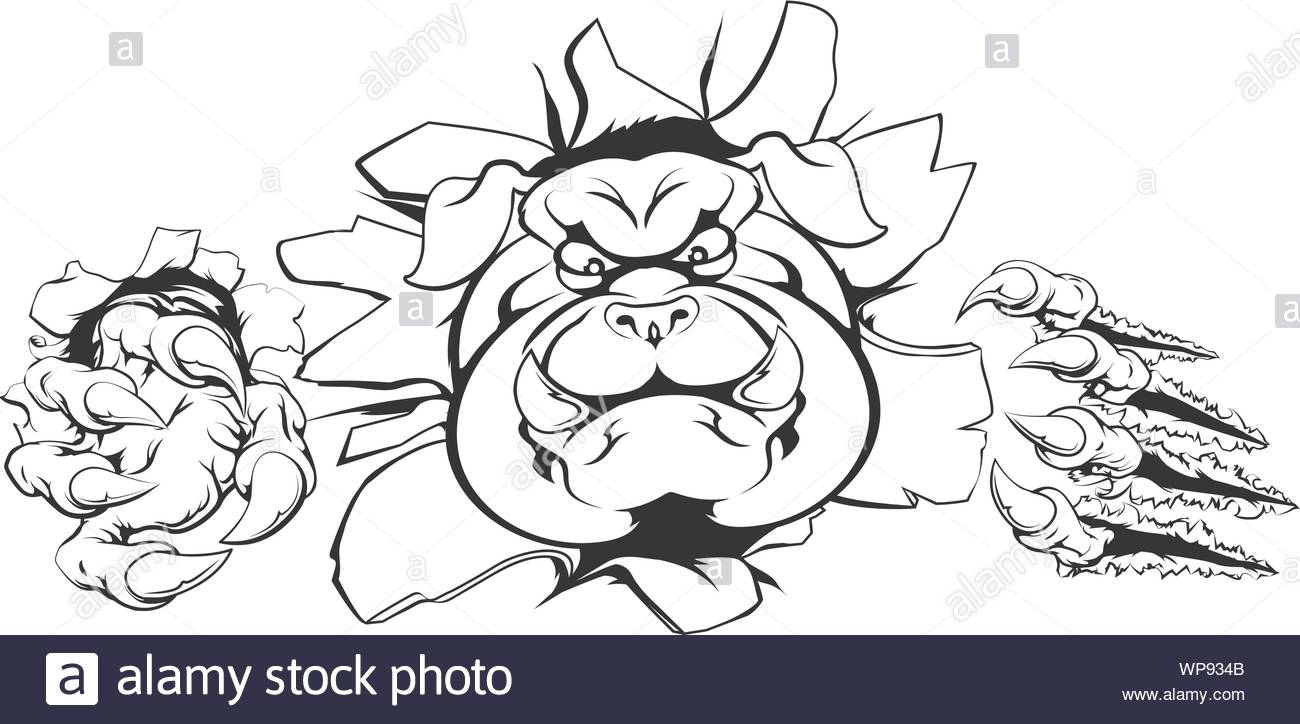 Dog Ripping Paper Stock Photos & Dog Ripping Paper Stock Images - Alamy