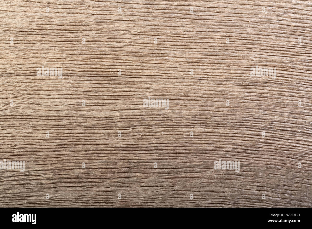 Macro photo of dark scratched wood bog oak texture. Can be used as ...