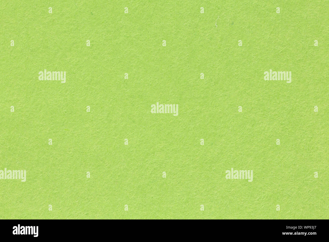 Macro shot of green texture. High quality background in extremely high ...