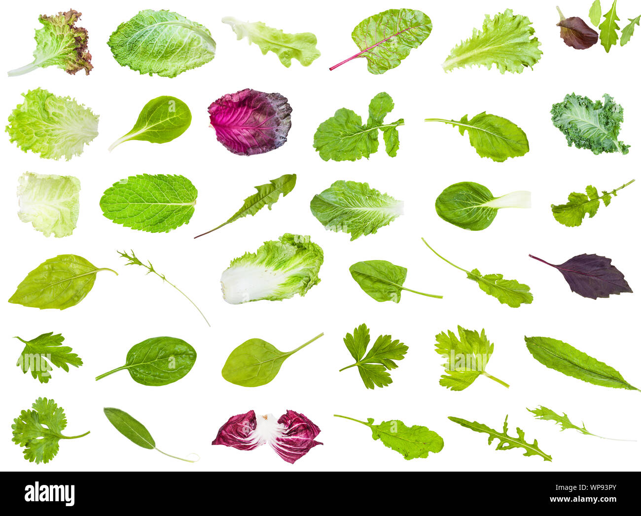 many various fresh leaves of edible greens isolated on white background ...