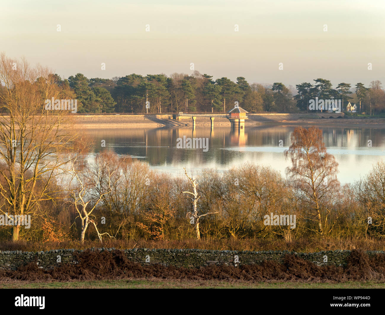 Cropston reservoir seen from Bradgate park, Leicestershire, England, UK Stock Photo - Alamy