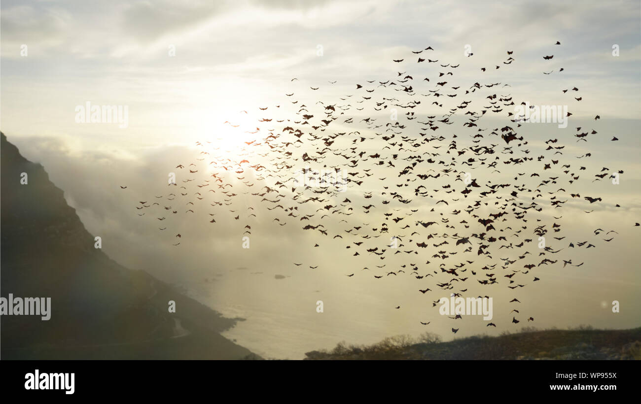 large group of flying bats, mega bats in the sky Stock Photo - Alamy
