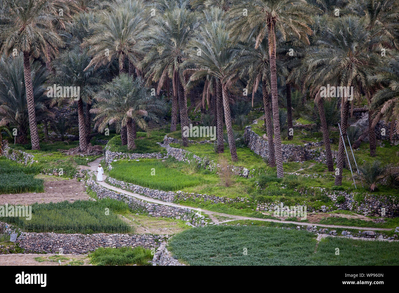 Al hajar al gharbi hi-res stock photography and images - Alamy