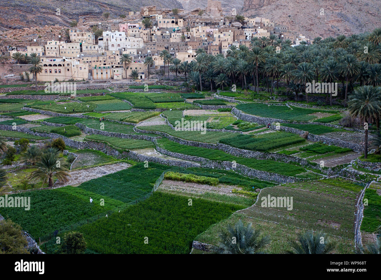 Balad Sayt Village near Jebel Shams, Oman Stock Photo - Alamy