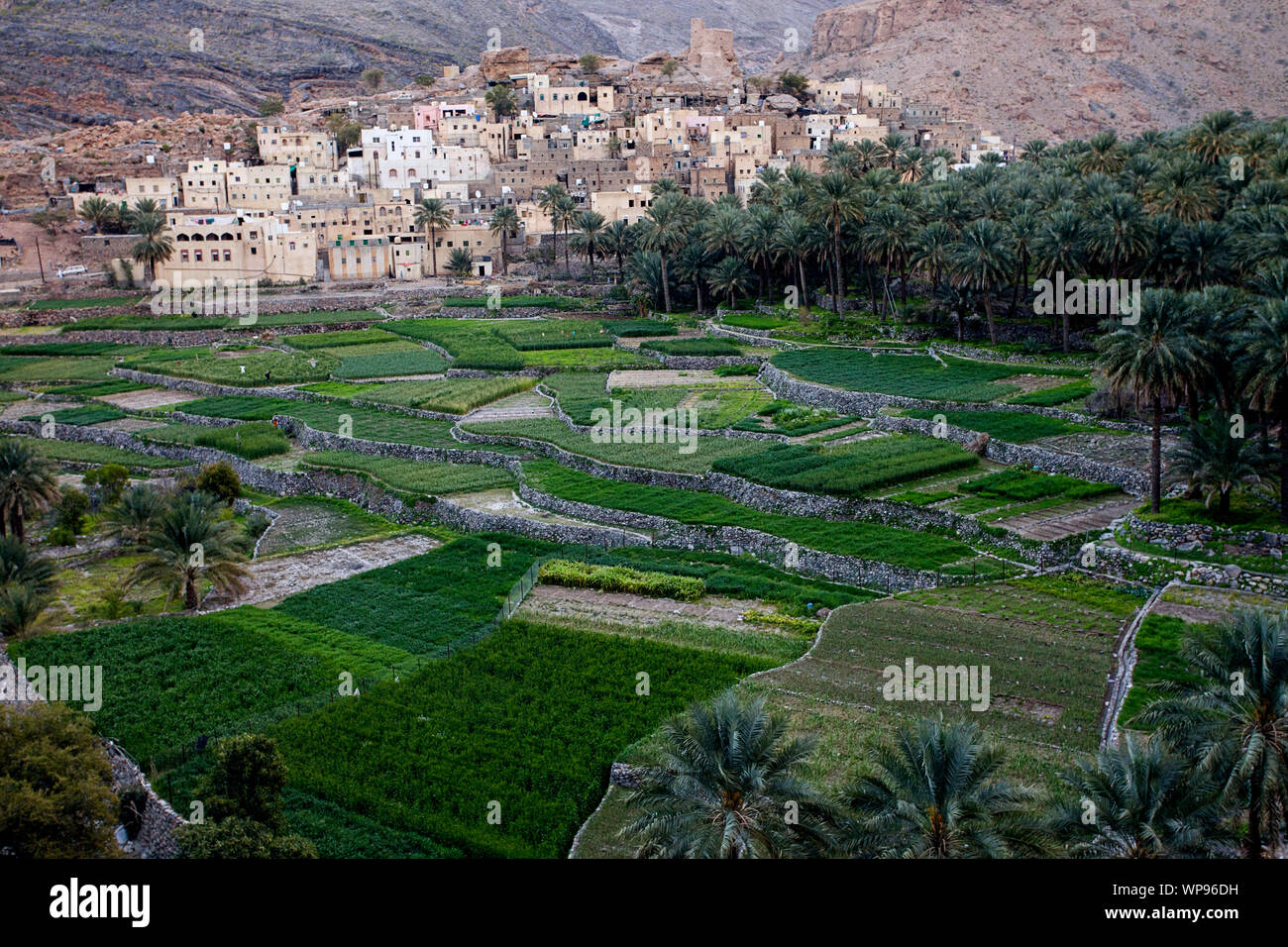 Sayt hi-res stock photography and images - Alamy