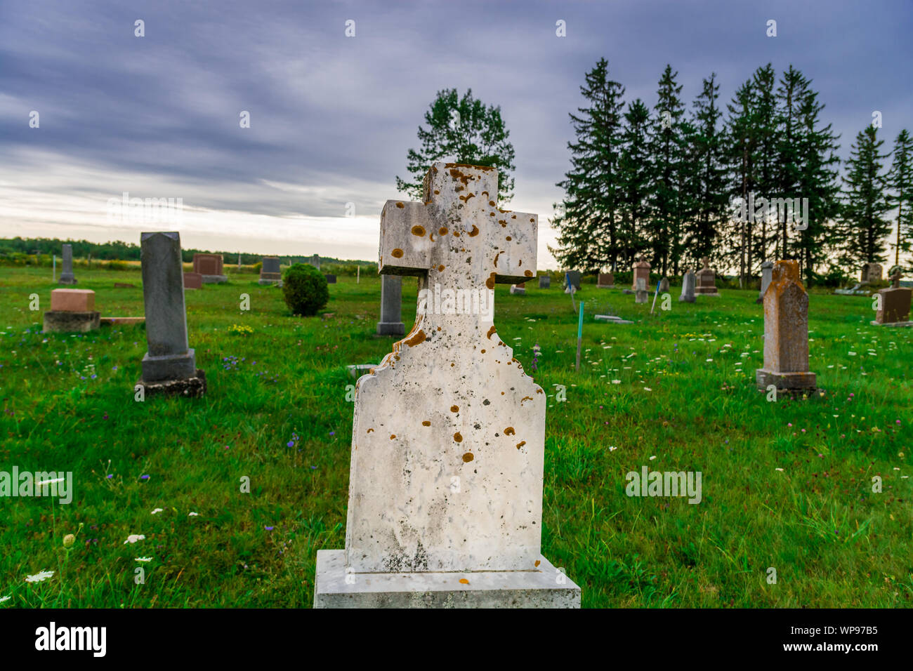 Ancient cemetery grounds showing aged tomb stones Stock Photo - Alamy