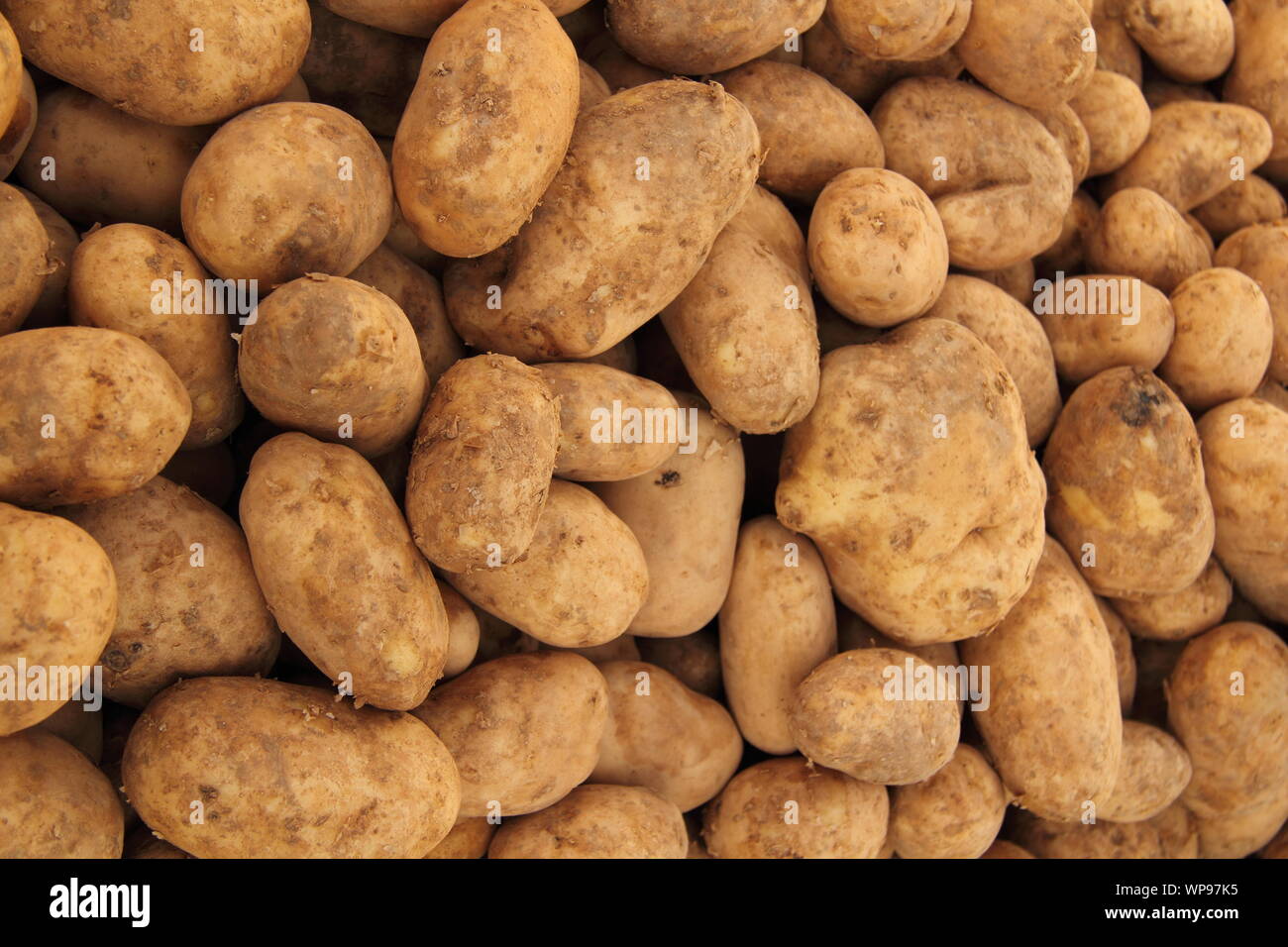 many potatoes in the supermarket Stock Photo - Alamy