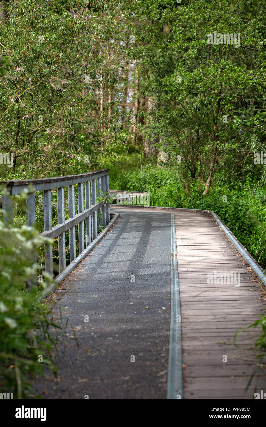 Small wooden driveway in forest - Ghent Belgium Stock Photo - Alamy
