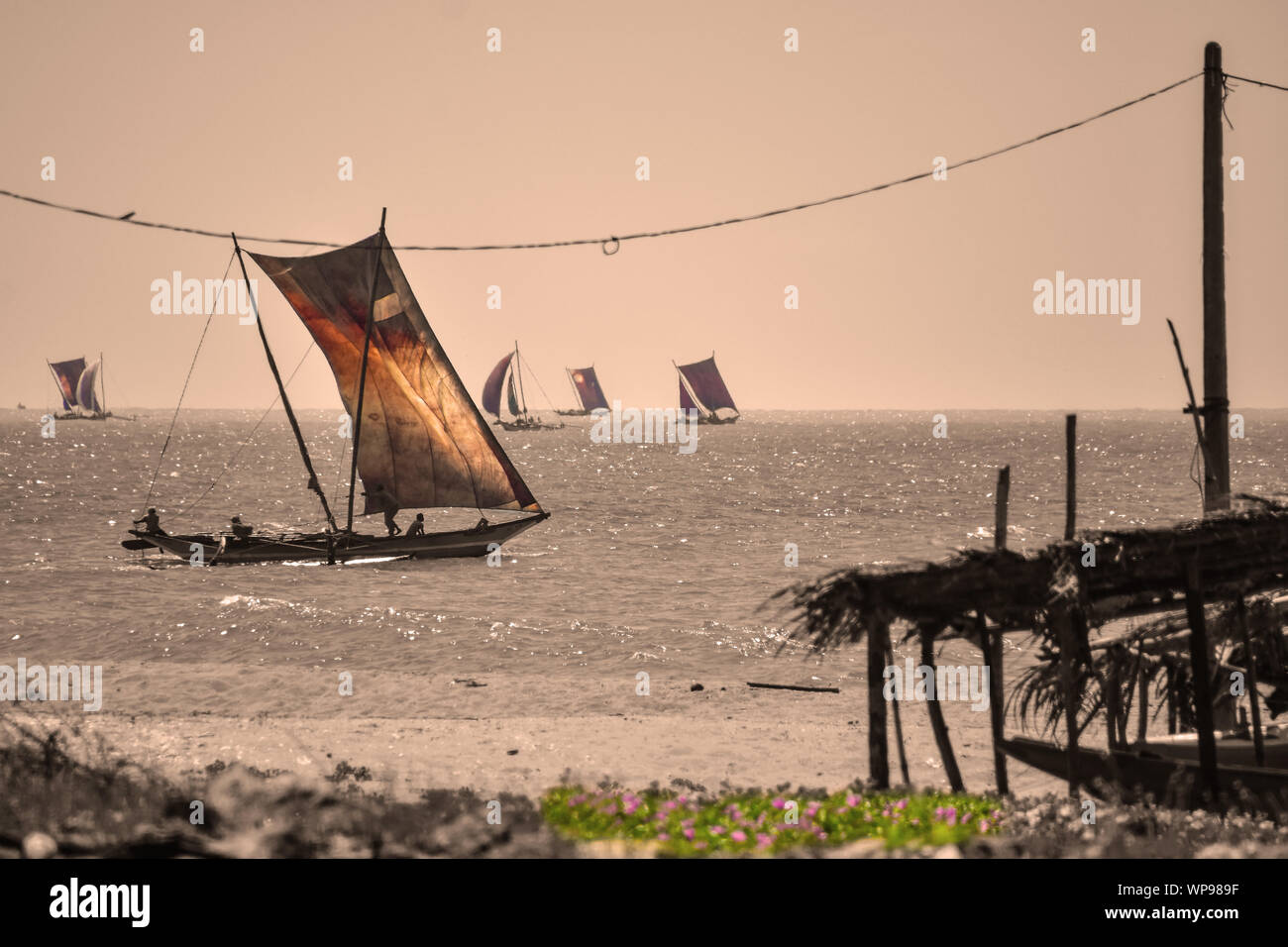 Traditional sri lanka fishing boats hi-res stock photography and images ...