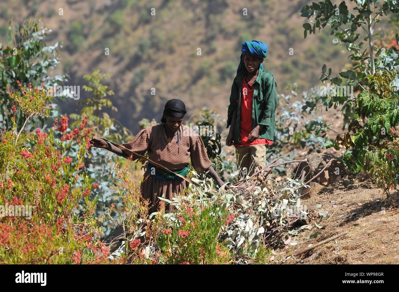 Ethiopia Poverty Woman High Resolution Stock Photography and Images - Alamy