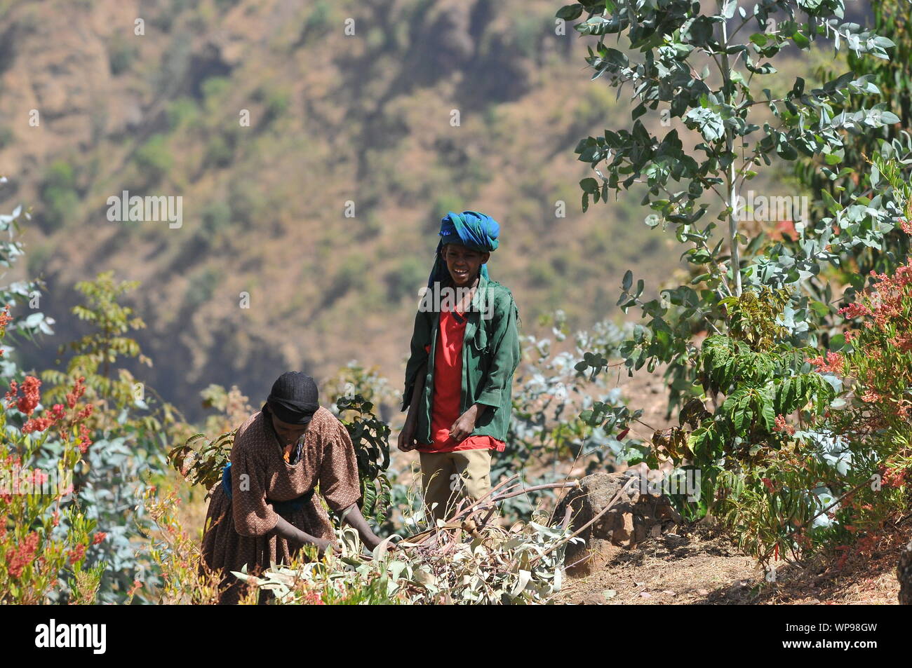 Native To Ethiopia High Resolution Stock Photography and Images - Alamy