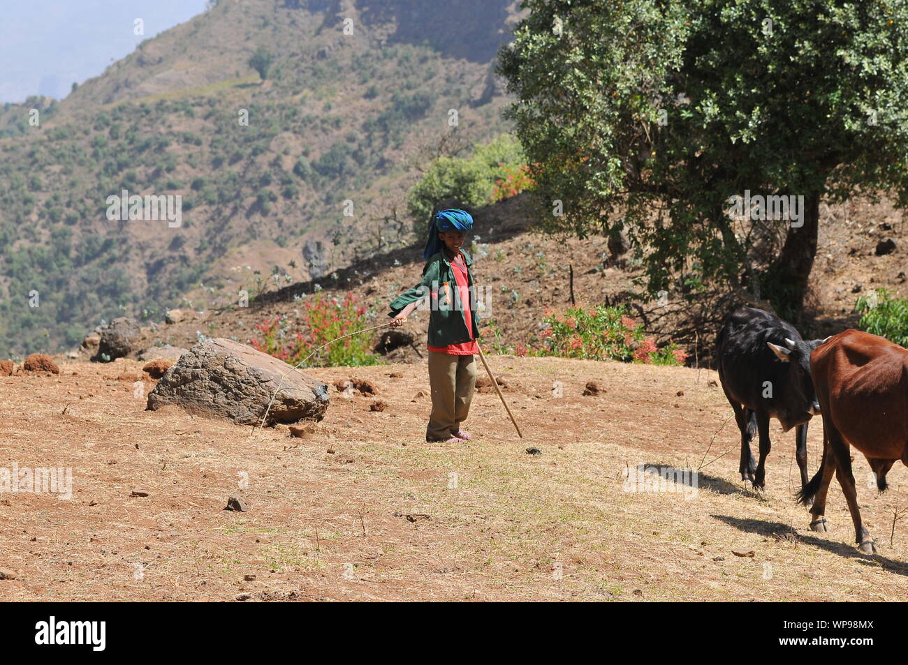 Boy of Tigray region Stock Photo - Alamy
