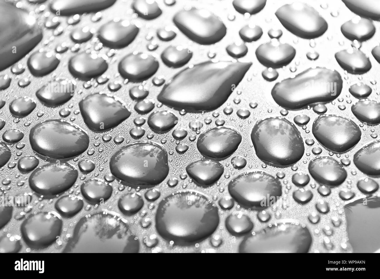 Transparent still water drops on light background. Water drops. Drops ...