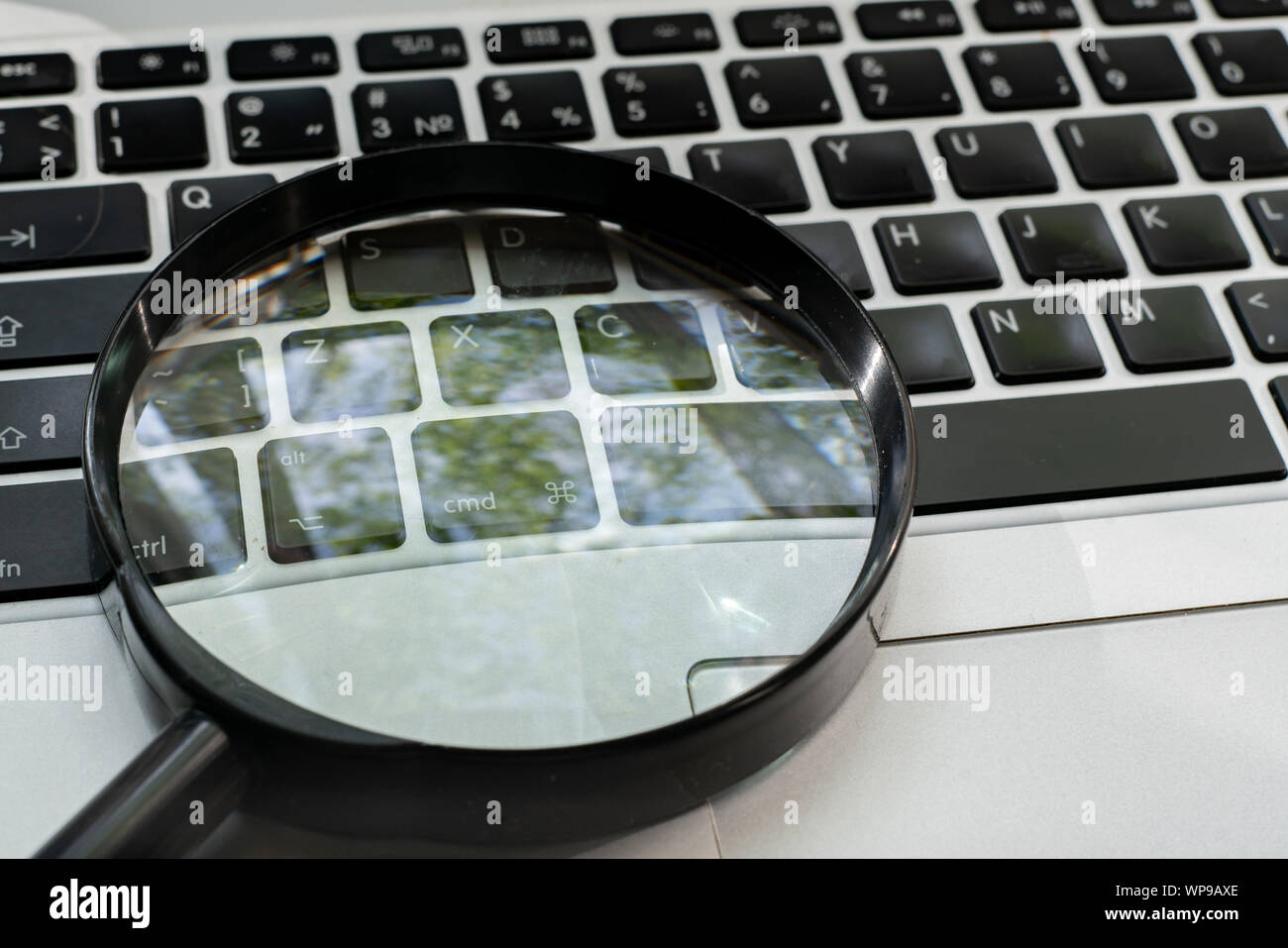 Detective magnify glass computer hi-res stock photography and images ...