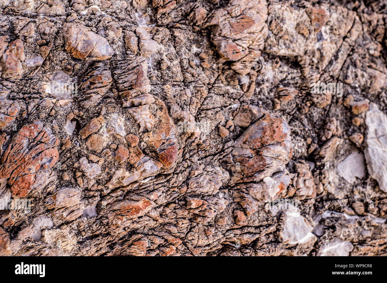 Color photo of stone rock texture. Close-up Stock Photo - Alamy
