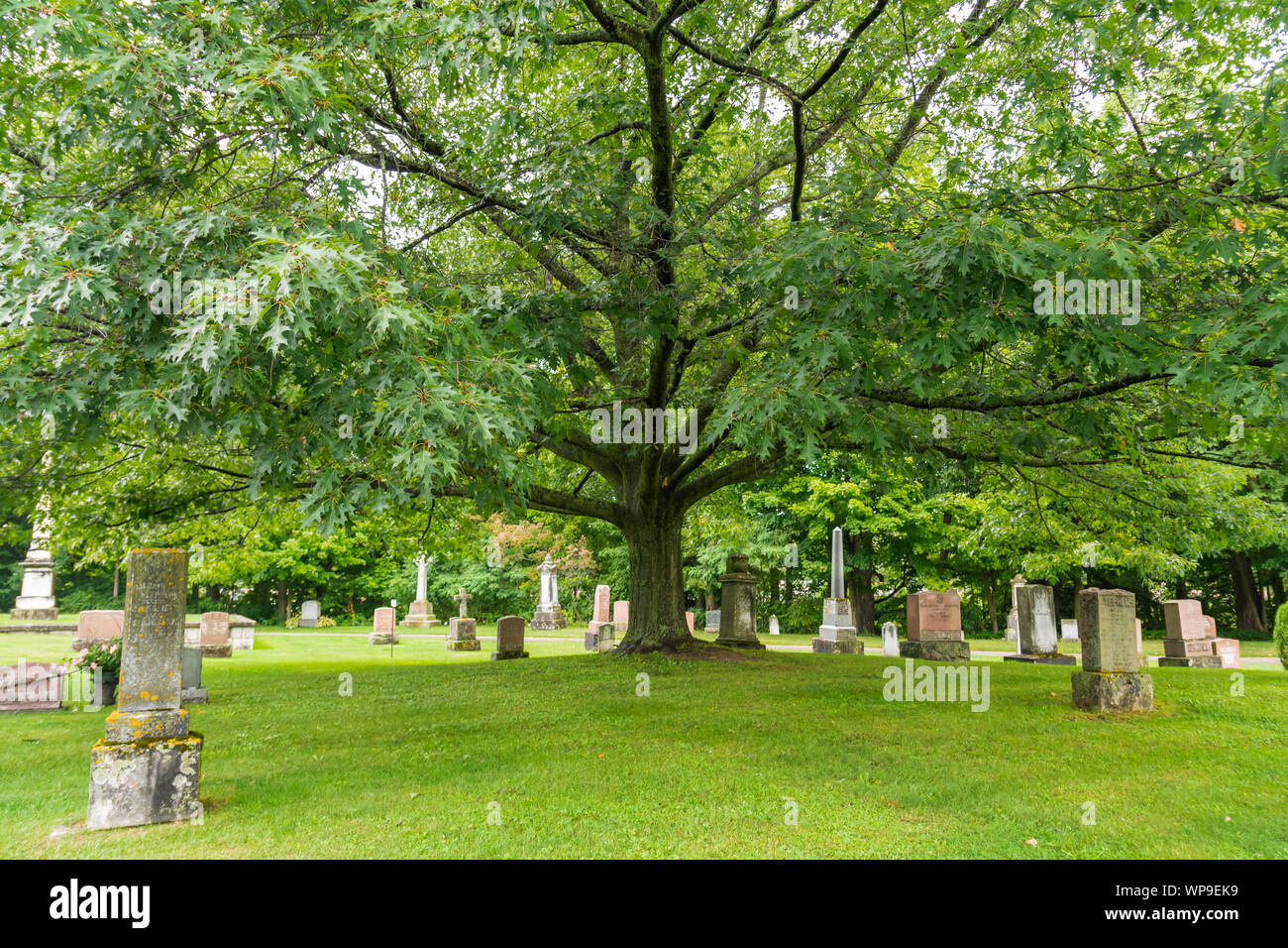 Ancient cemetery grounds showing aged tomb stones Stock Photo - Alamy