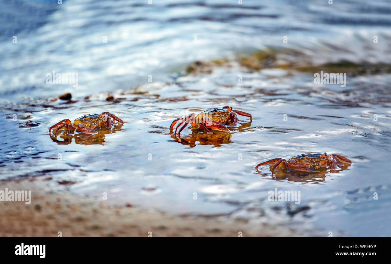 Gaborone dam hi-res stock photography and images - Alamy