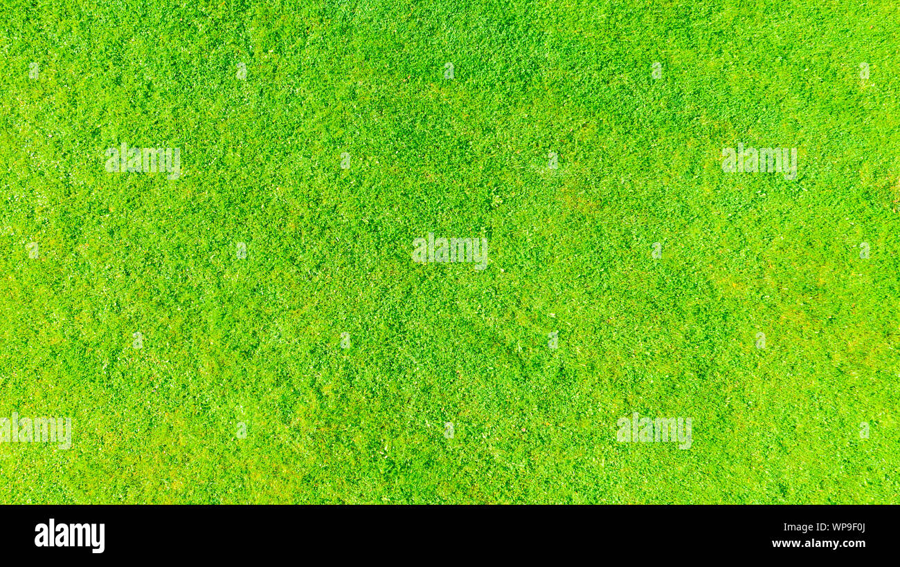 Aerial top view of green fresh summer lawn in park. natural textured ...