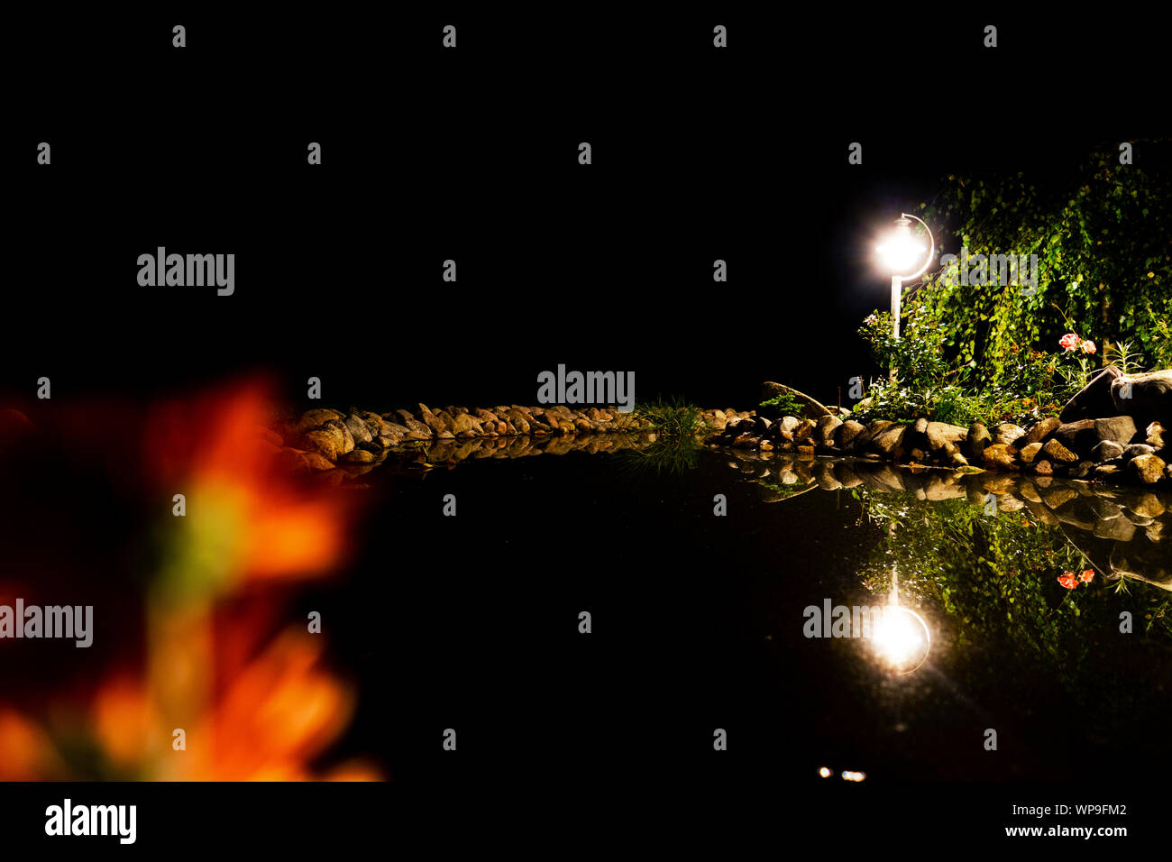 Garden pond at night. Illuminated pond shore in a night. Garden fish ...