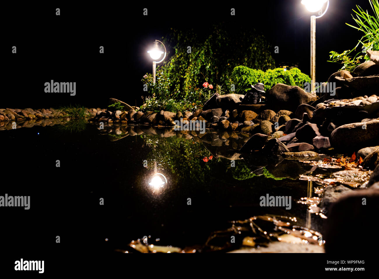 Garden pond at night. Illuminated pond shore in a night. Garden fish ...