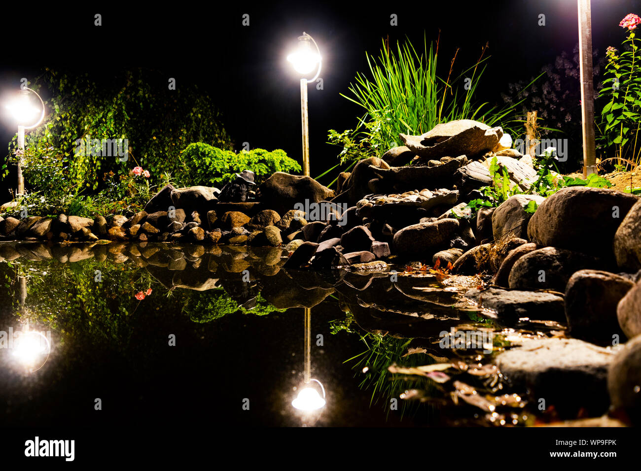 Garden pond at night. Illuminated pond shore in a night. Garden fish ...