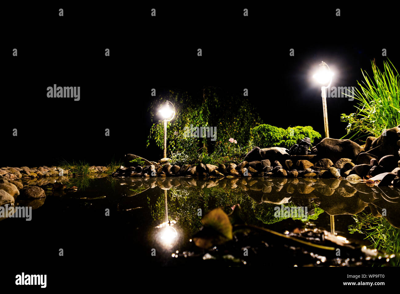 Garden pond at night. Illuminated pond shore in a night. Garden fish ...