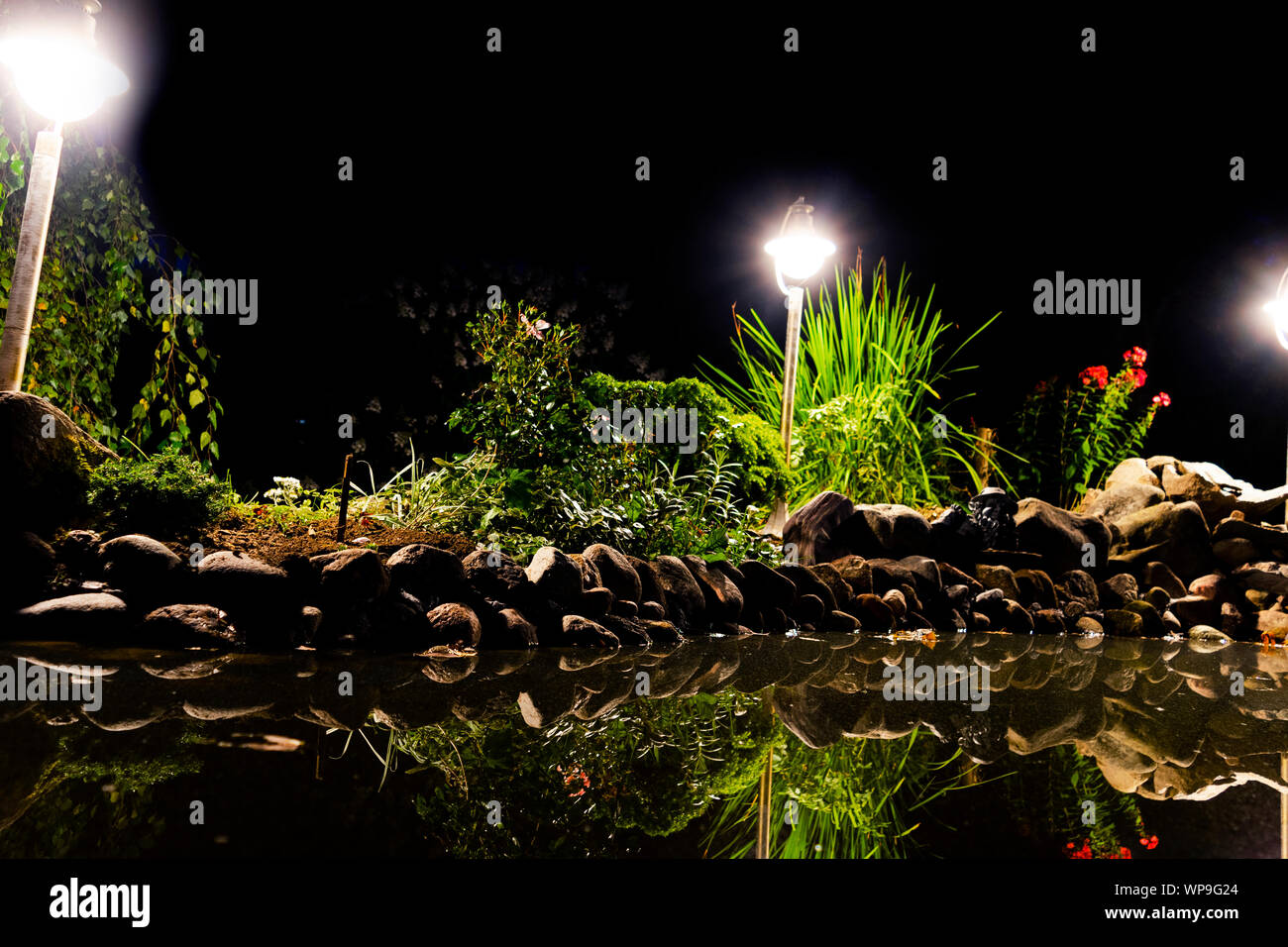 Garden pond at night. Illuminated pond shore in a night. Garden fish ...