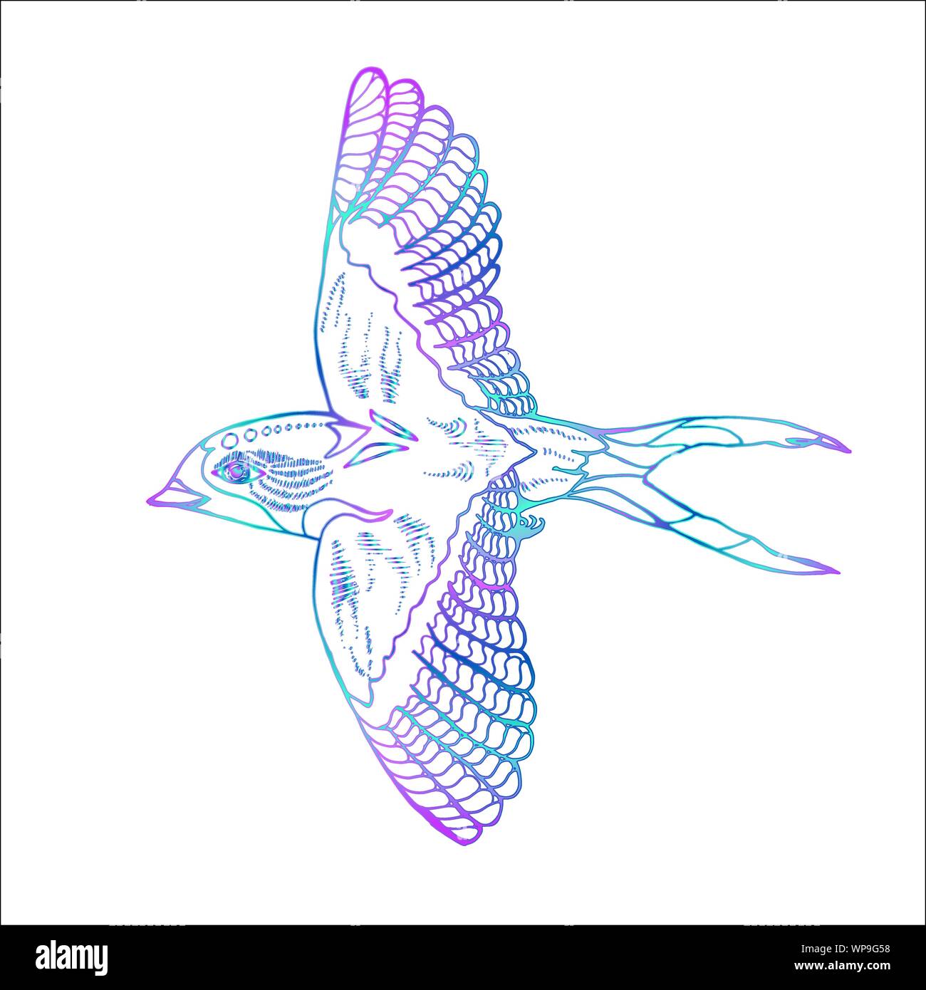 Neon illustration of a swallow in a profile. Flying cosmic bird Stock ...