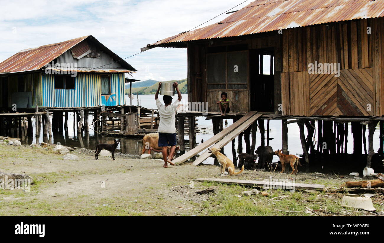 Woman carrying a bucket on her head in Doyo Lama, West Papua, Indonesia ...