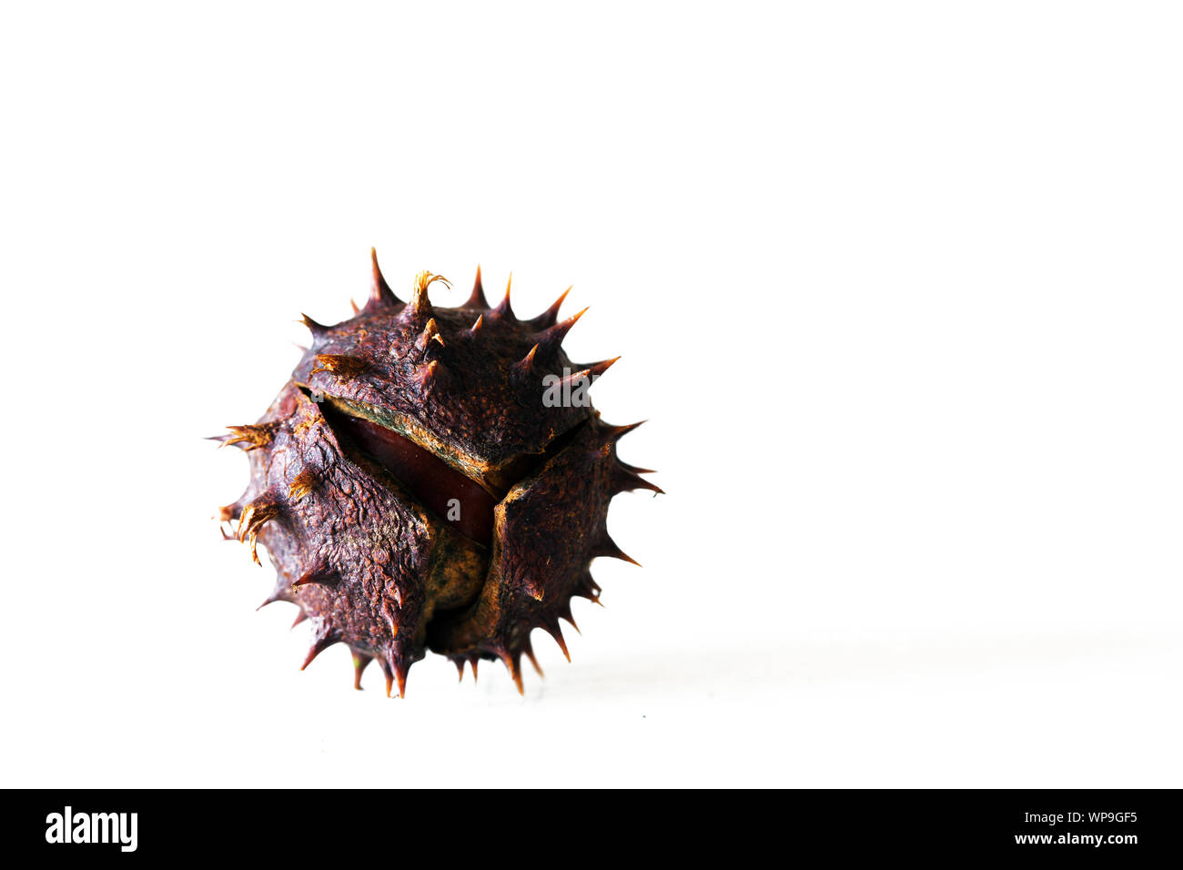 Harvest season autumn Cut Out Stock Images & Pictures - Alamy