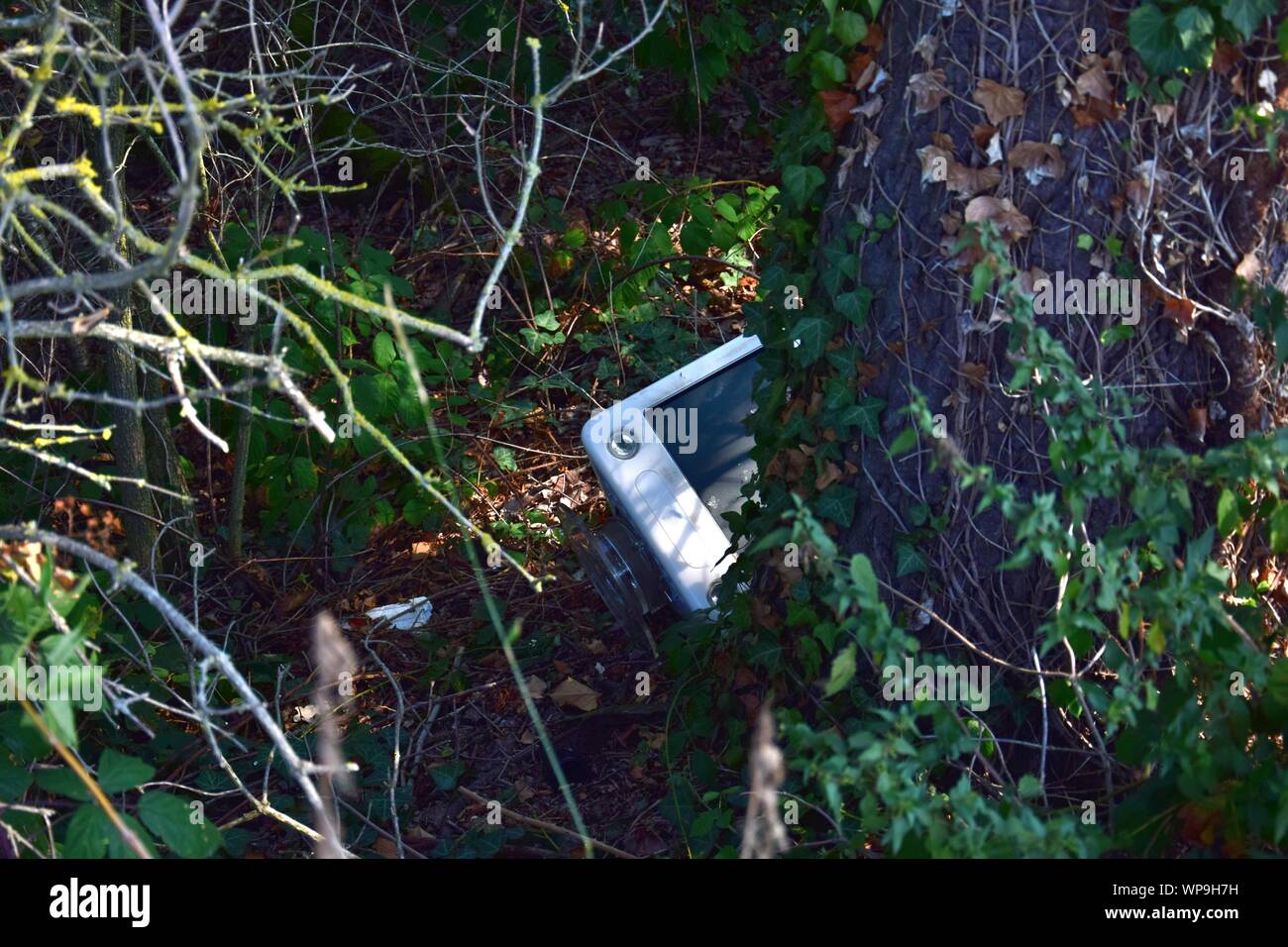 Electronic waste - a thrown away computer screen in a forest Stock ...