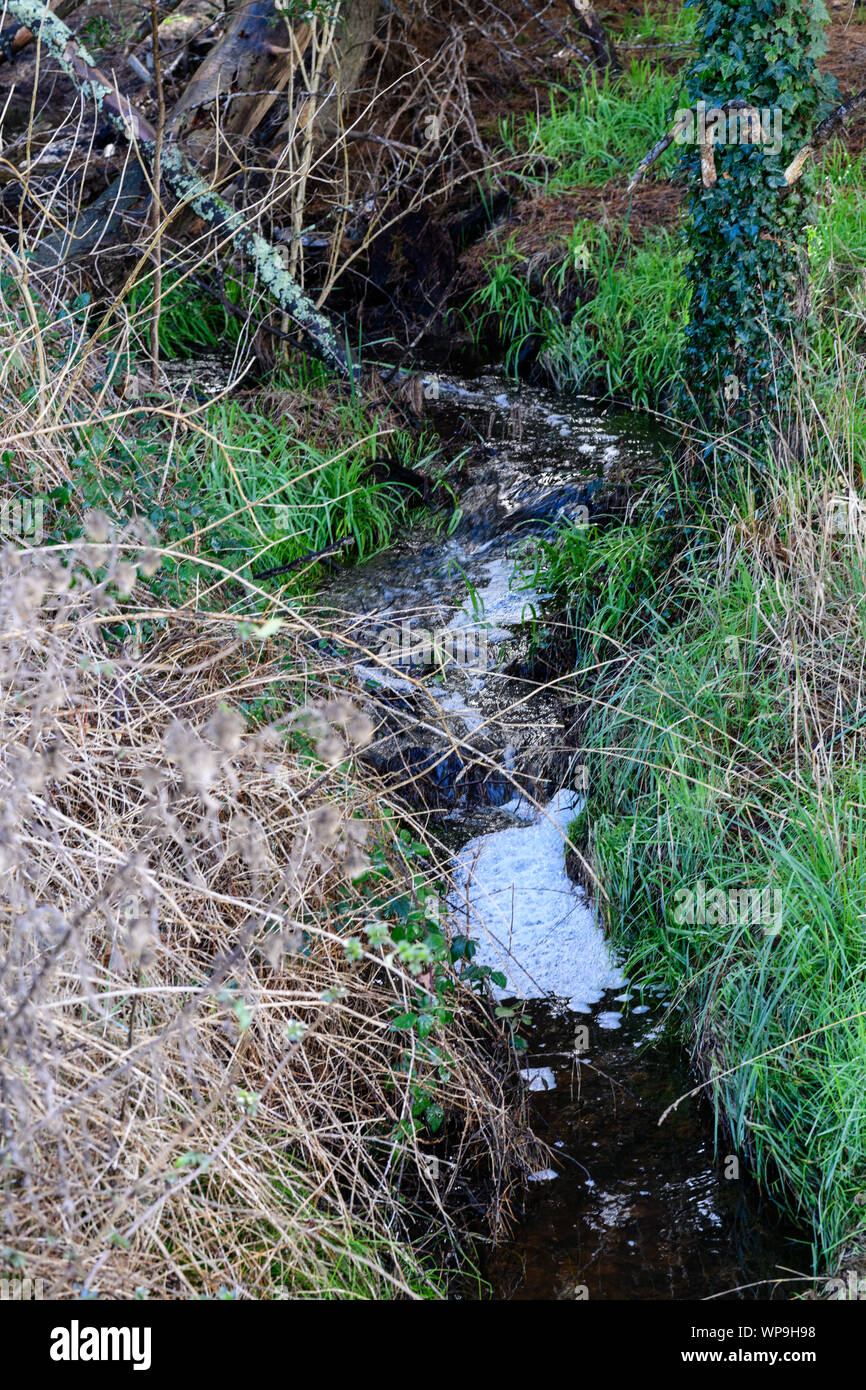 Foam and bubbles from detergent pollution in the stream Stock Photo - Alamy