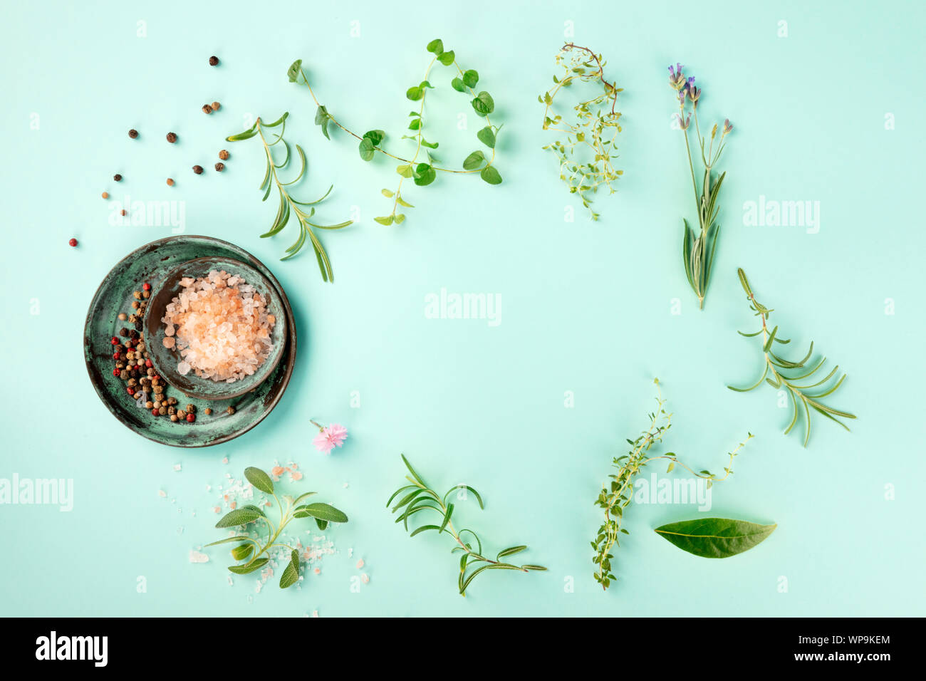 Cooking a Recipe Design Template. Culinary herbs, salt, and pepper ...