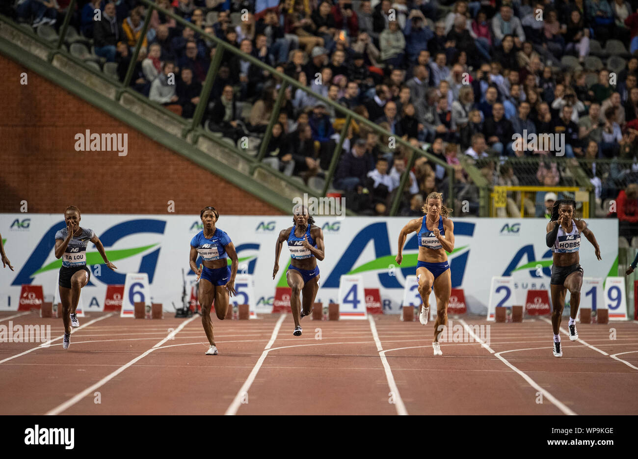 Brussels - Belgium - Sep 6: Marie-Josée Ta Lou (CIV), Shelly-Ann Fraser ...