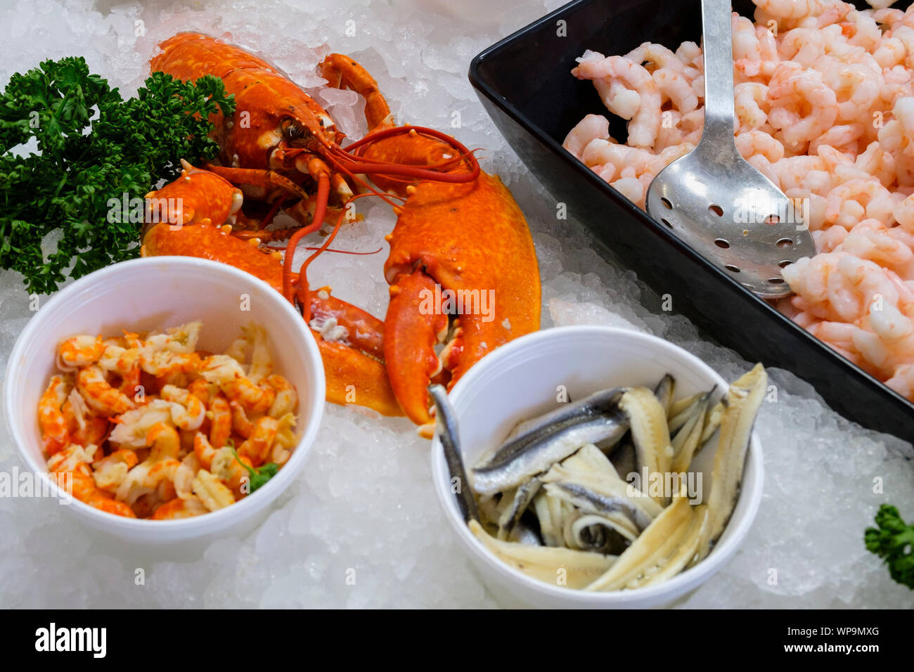 A Lobster in ice on a fishmongers counter Stock Photo - Alamy