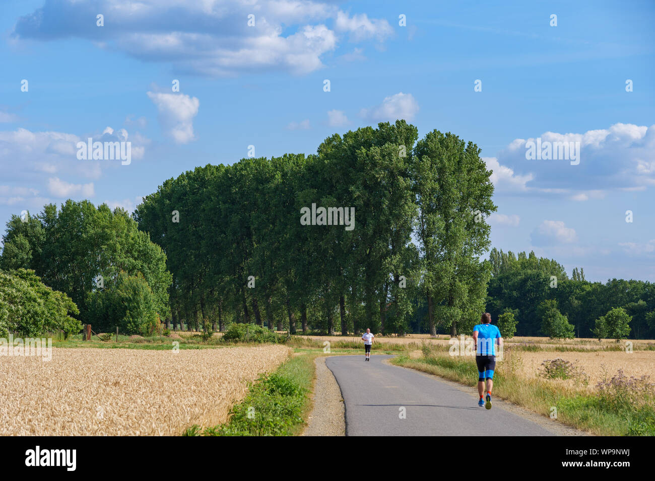 People running and jogging on small road in suburb area surrounded with ...