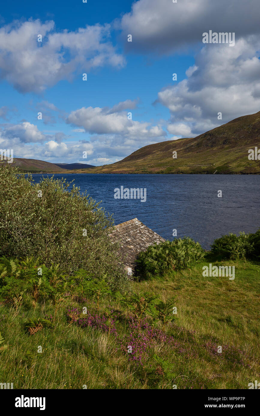 Loch Lee High Resolution Stock Photography and Images - Alamy