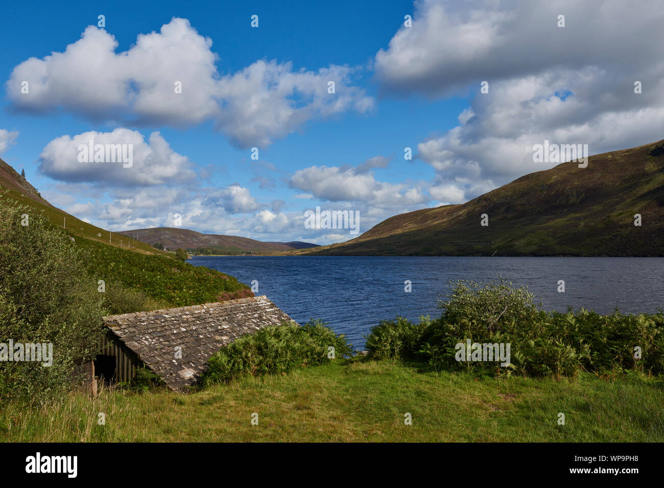 Loch lee scotland hi-res stock photography and images - Alamy