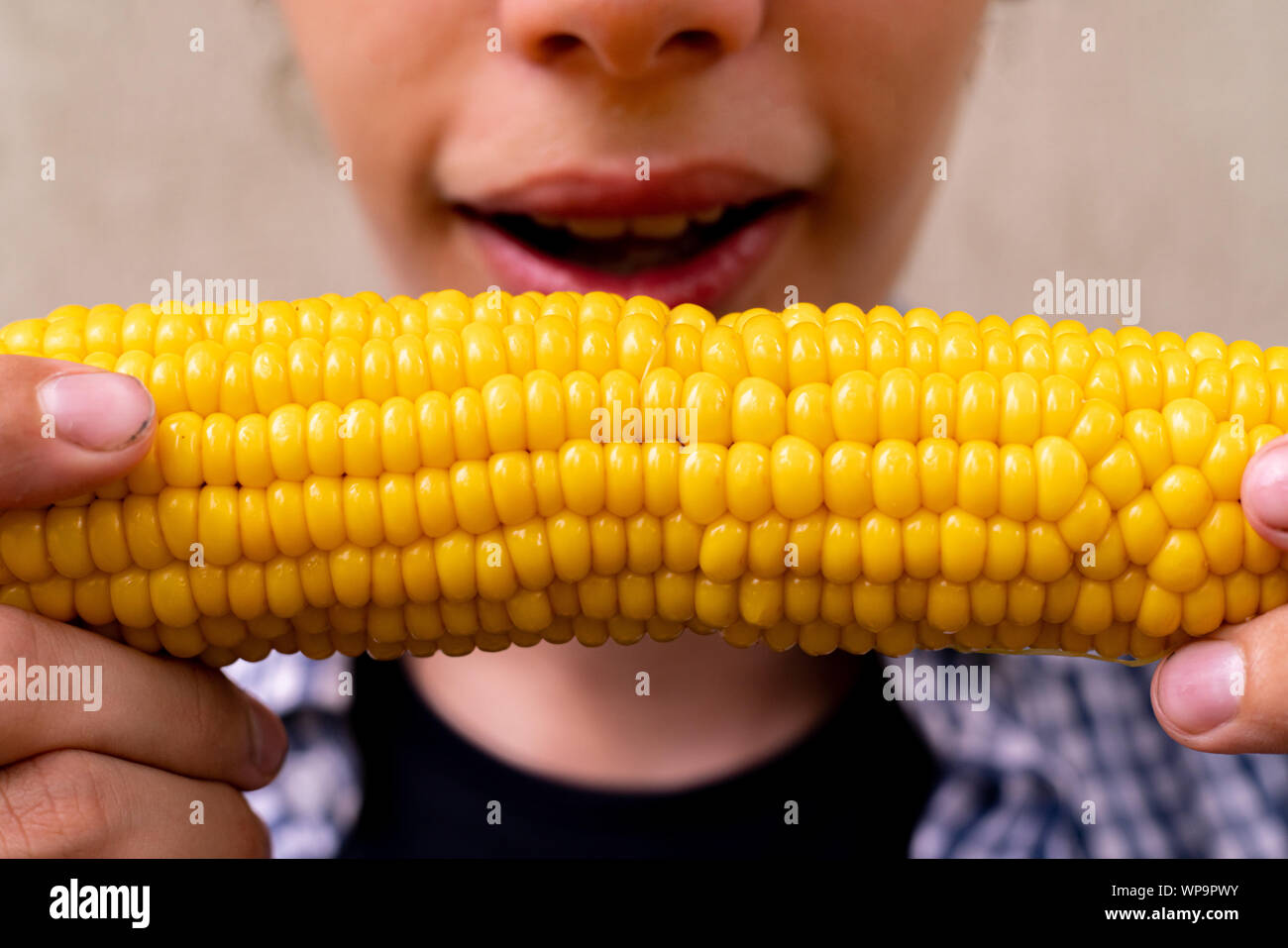 close up person eating and biting cooked hot prepared corn, street food ...