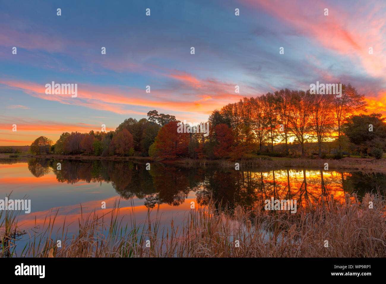 Colours of sunset reflected on the water Stock Photo - Alamy
